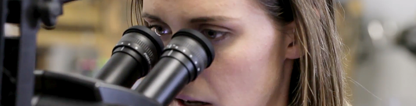 GRS® University: Working with a Microscope Part 1: Focus - RioGrande