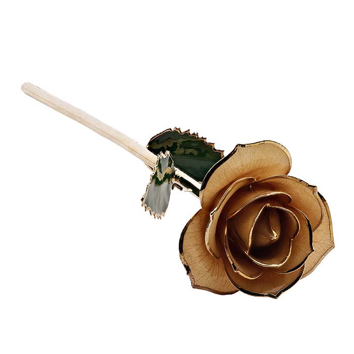 24K Yellow Gold-Trimmed "Sweet Cream" Long-Stemmed Rose - RioGrande
