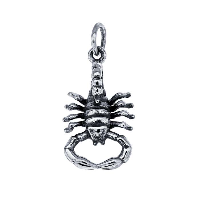 Sterling Silver Scorpion Charm - RioGrande